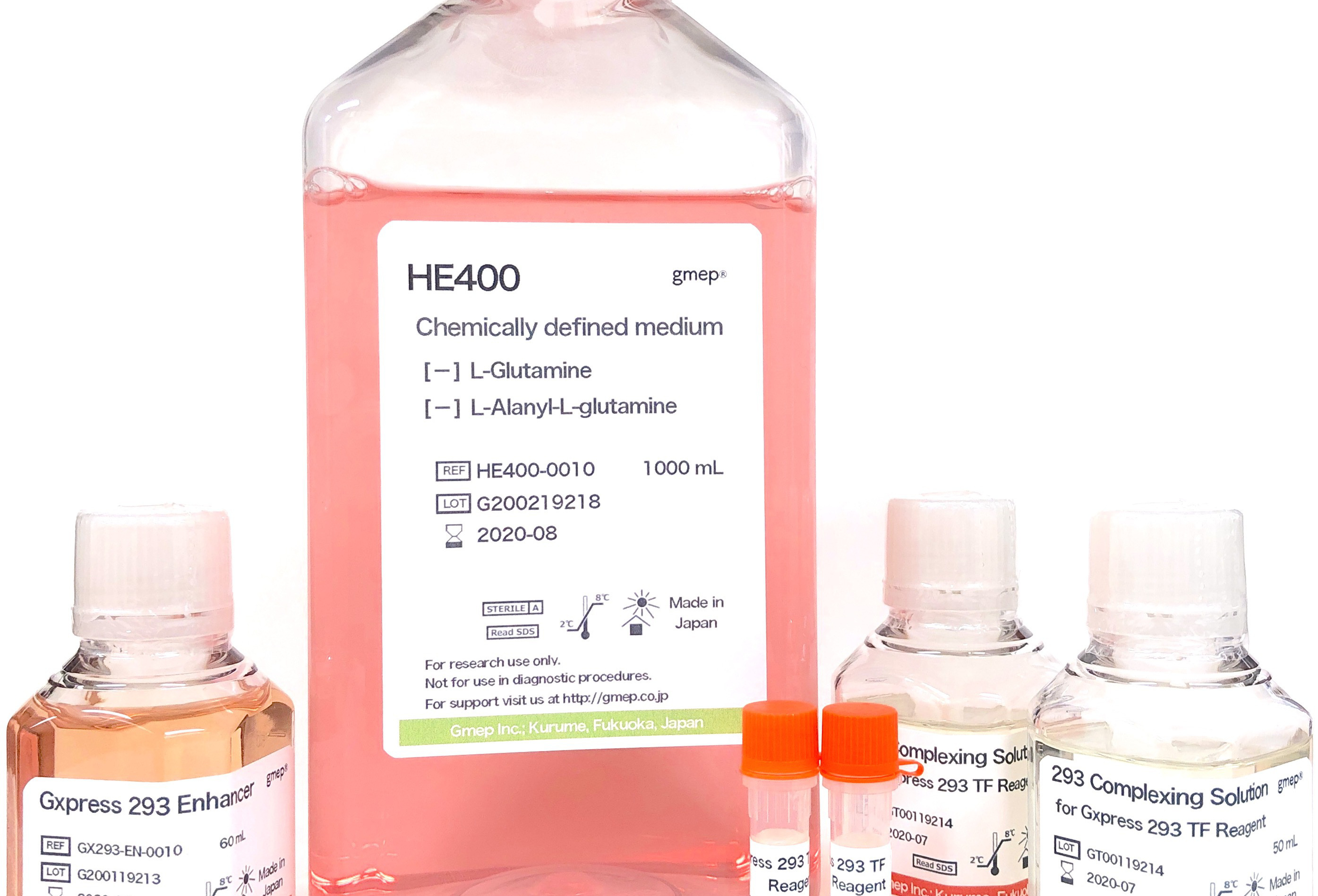 Transfection Reagent｜293 cells｜Products｜Gmep Incorporated