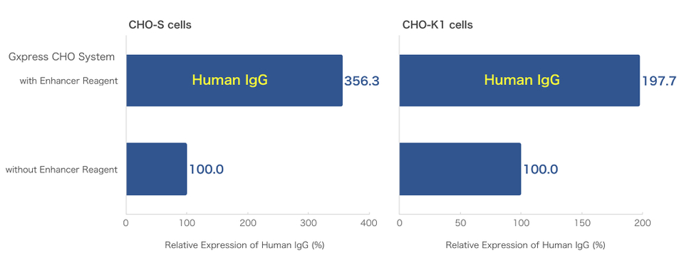 Gxpress CHO Enhancer｜CHO cells｜Enhancer Reagent｜Gmep Incorporated