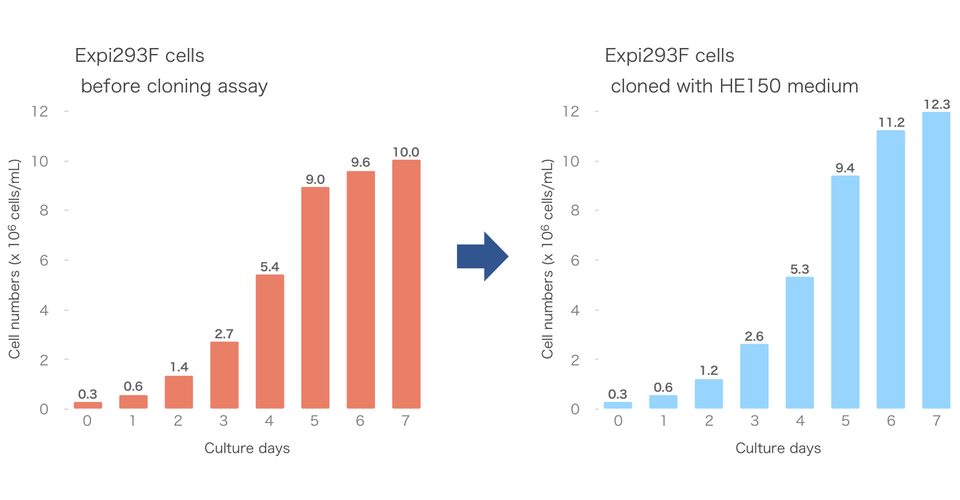 HE150 medium｜293 cells｜Single Cell Cloning｜Chemically Defined Medium ...
